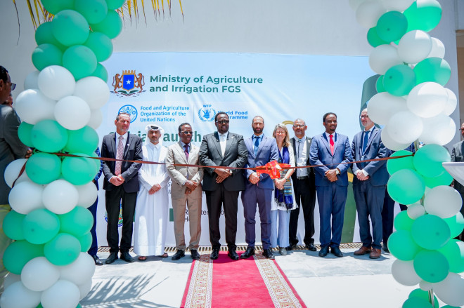 Somalia launches national agriculture coordination platform to boost ...