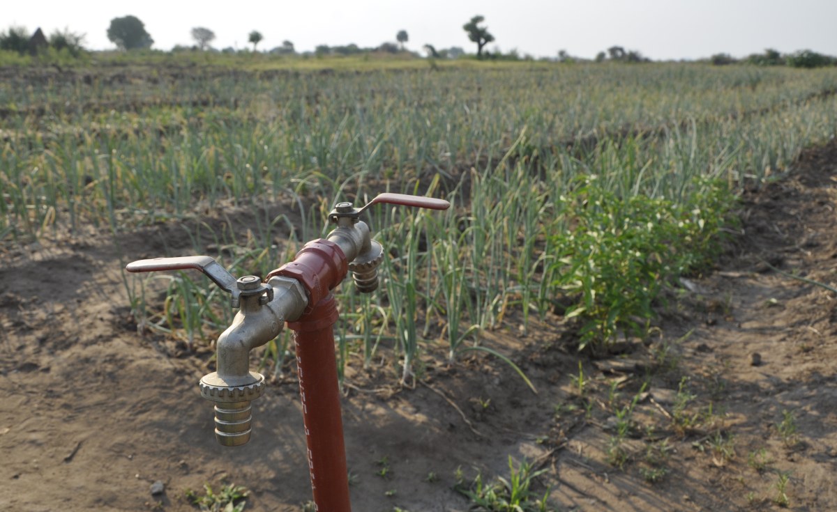 New Census Reveals Ongoing Struggles for Mozambican Farmers | Axadle