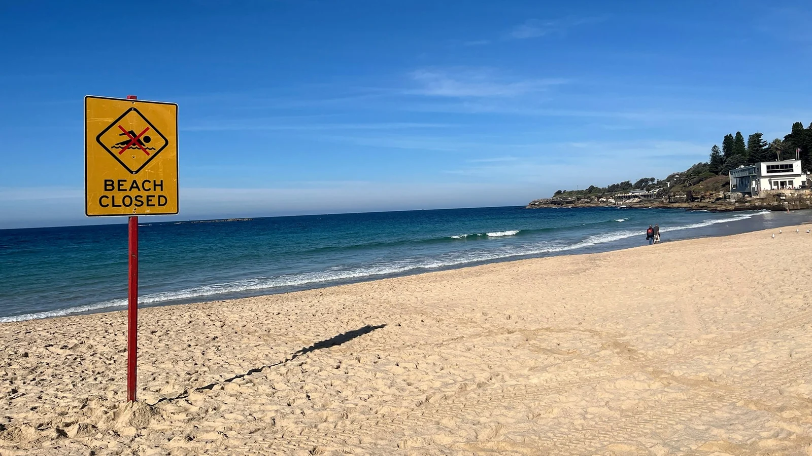 Woman seriously injured in shark attack at Sydney beach | Axadle